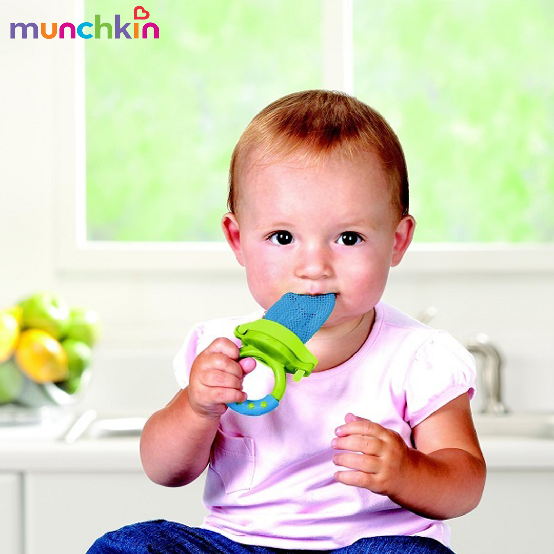 Munchkin Fresh Food Feeder Multiple Colors – Hipkids.pk
